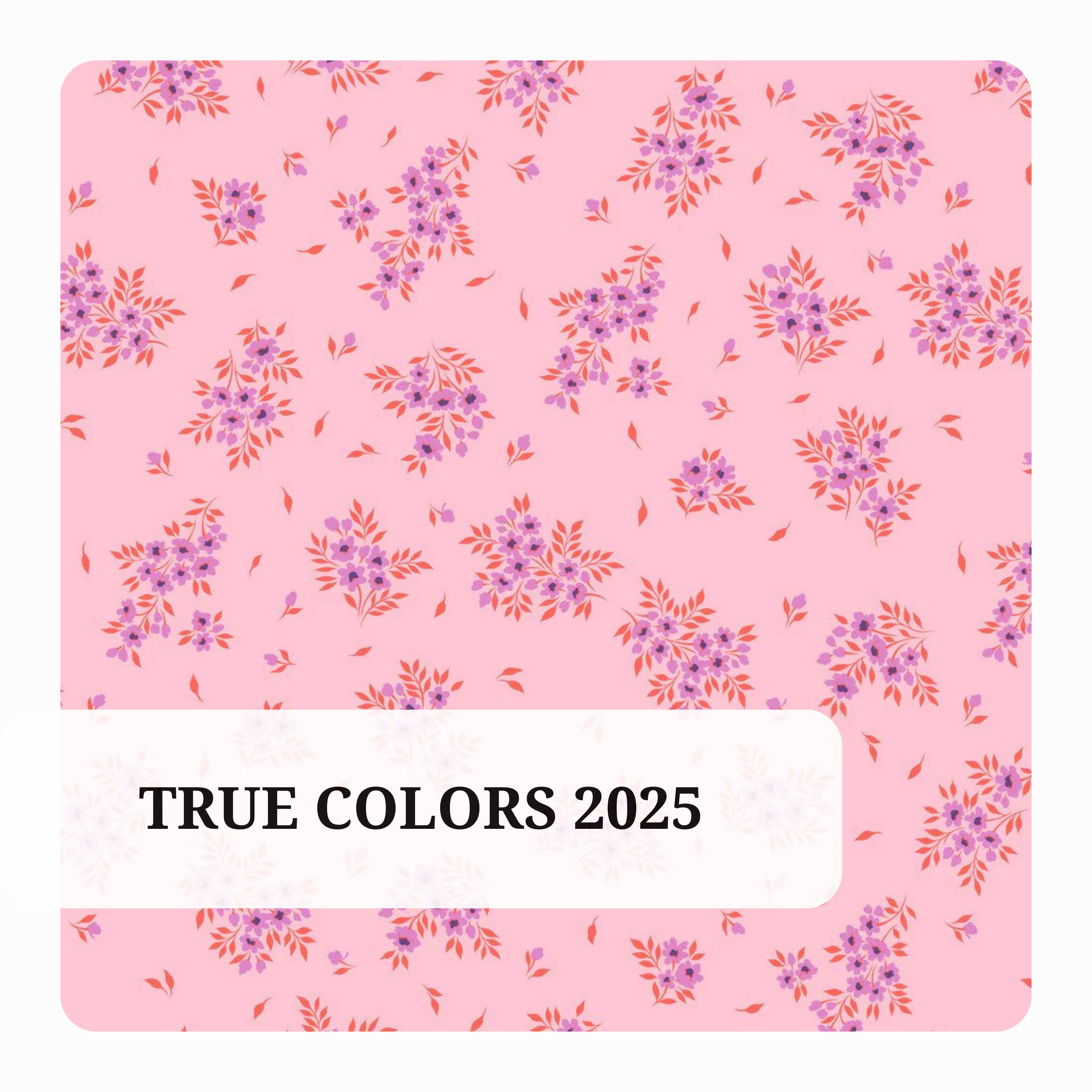 True Colors 2025 – Tiny Stitch Quilt Shop Ltd.